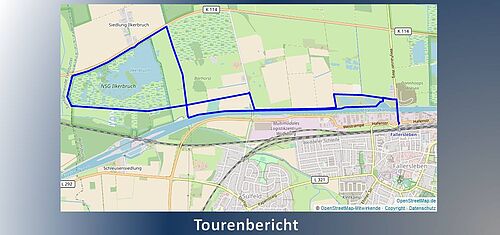 Early Bird Tour im Ilkerbruch - ADFC Wolfsburg